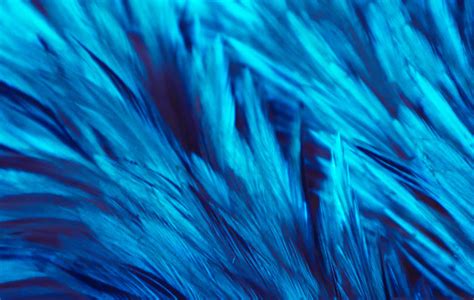 어두운 배경에 아름다운 추상 화려한 분홍색과 흰색 깃털과 흰색 패턴에 부드러운 흰색 파란색 깃털 질감 0명에 대한 스톡 사진 및 기타 이미지 Istock