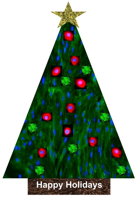 Fahimeh Tabatabaei On Linkedin This Year Has Been Unique And