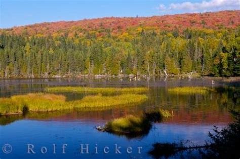 Laurentides Scenery Mont Tremblant Provincial Park Quebec Photo