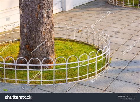 4856 Circle Around Tree Royalty Free Photos And Stock Images