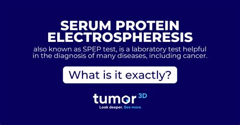 Serum Protein Electrophoresis Spep Test And Cancer When To Perform It