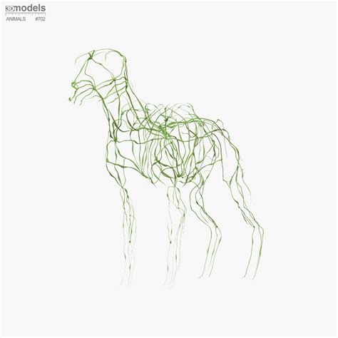 Cat Lymphatic System 3d модель Скачать Млекопитающие на