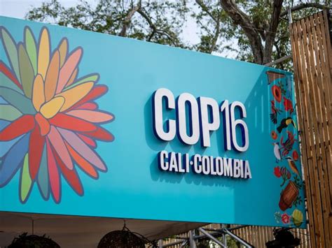 Programación Por Días De La Cop16 Conozca Los Eventos Por Fecha Y Cómo