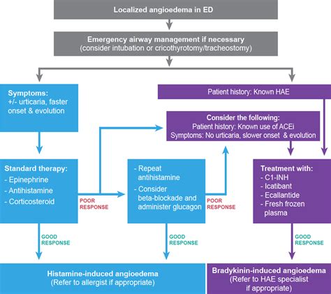 Ed Response To Localised Airway Angioedema Consistent With Published