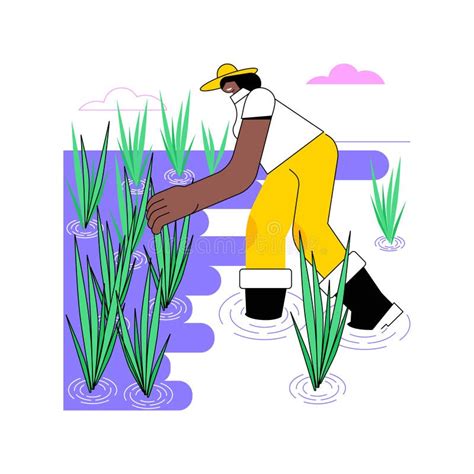 Rice Growing Isolated Cartoon Vector Illustrations Stock Vector