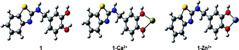 Enhanced Zn 2 Ion Sensing Behavior Of A Benzothiazole Derivative On Encapsulation By β