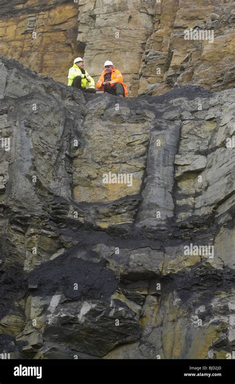 Geologists Examine Some Of The 300 Million Year Old Fossilised Trees