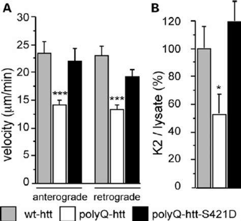 Phosphorylation Of Polyq Htt Restores Anterograde And Retrograde