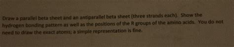 Draw A Parallel Beta Sheet And An Antiparallel Beta