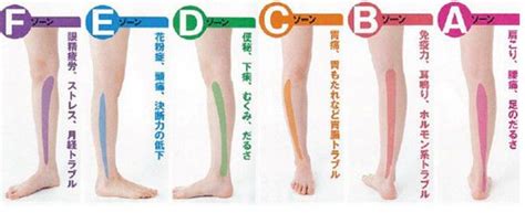 ボード「ふくらはぎ」のピン