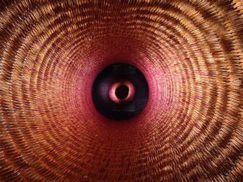 Tender Vortex Revista Plot
