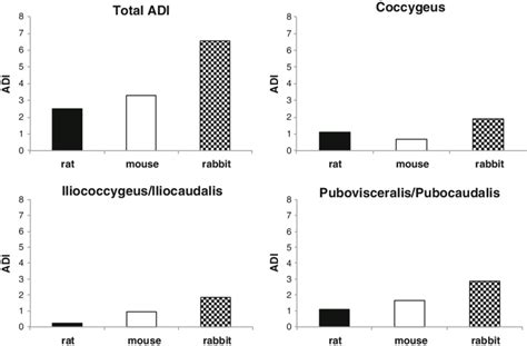 Combined And Individual Pelvic Muscle Pm Architectural Difference Download Scientific Diagram