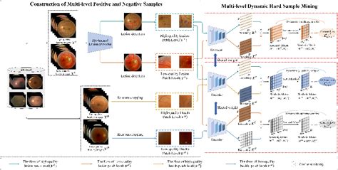 Figure 1 From A Clinical Oriented Multi Level Contrastive Learning
