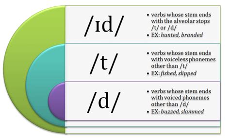 Difference Between Morpheme And Allomorph