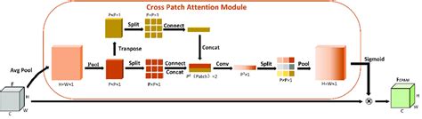 The Structure Of CPAM Download Scientific Diagram