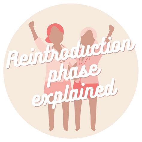 Reintroduction Phase Explained The Irritable Vegan