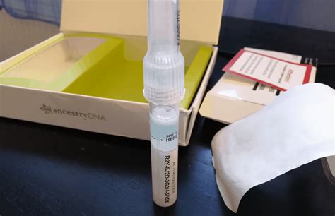 How Does Ancestry Com Work