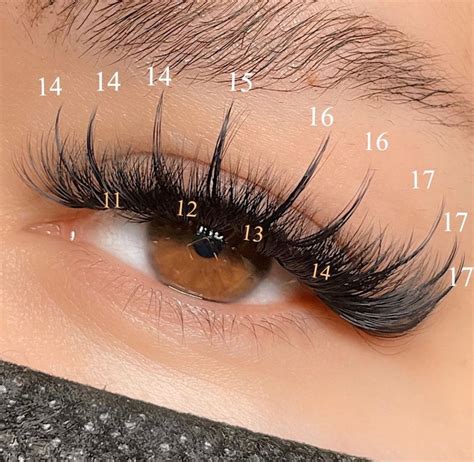 Whispy Look Eyelash Extensions Eyelashes Lashes Fake Eyelashes