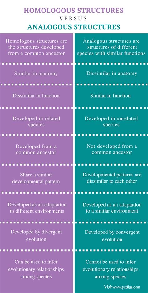 Difference Between Homologous And Analogous Structures Definition Features Examples