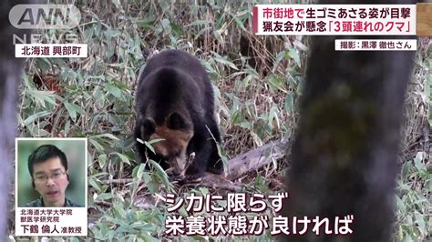 クリスマスも相次ぐ“クマ出没” シカが関係？「3頭連れクマ」増加の理由