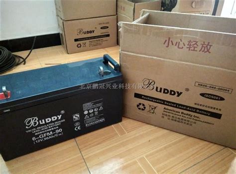 黄山buddy蓄电池6 Gfm 65 12v65ahc10价格图片高清图细节图 北京恒泰正宇科技有限公司 维库仪器仪表网