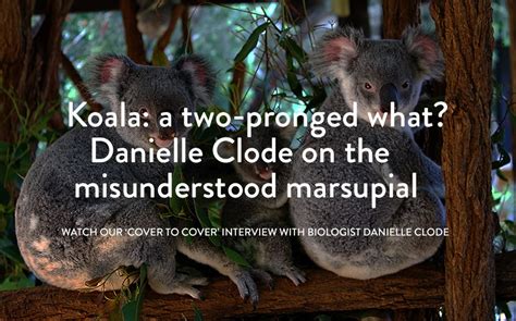 Koala Watch Our Cover To Cover Interview With Danielle Clode Black