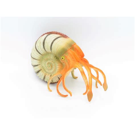 88902 Collecta コレクタ アンモナイト Raptors 通販 Yahooショッピング