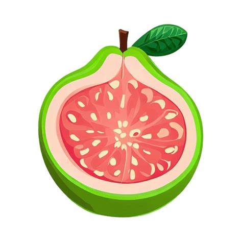 Guava Open Icon Illustration Fruit Iconpack Icon Archive