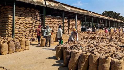 Indias Rice Procurement Down 13 But Fci Hopeful Of Buying 55 Million