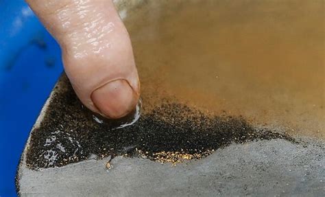 Fiebre Del Oro Atrae A Una Multitud A La Mina Crucitas La Nación