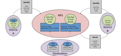 Persistent Identifier And Initial Identification Download Scientific
