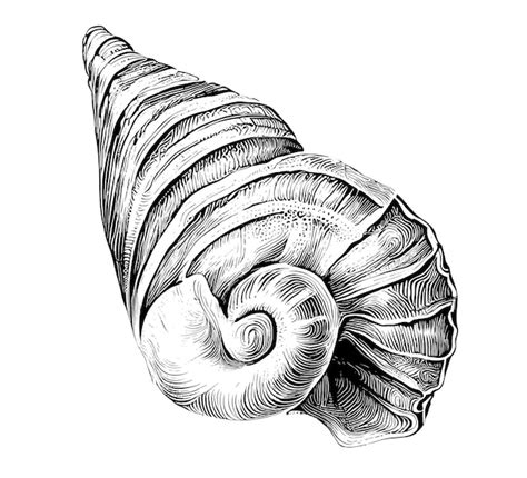 sammelschalen bilder kostenloser download auf freepik