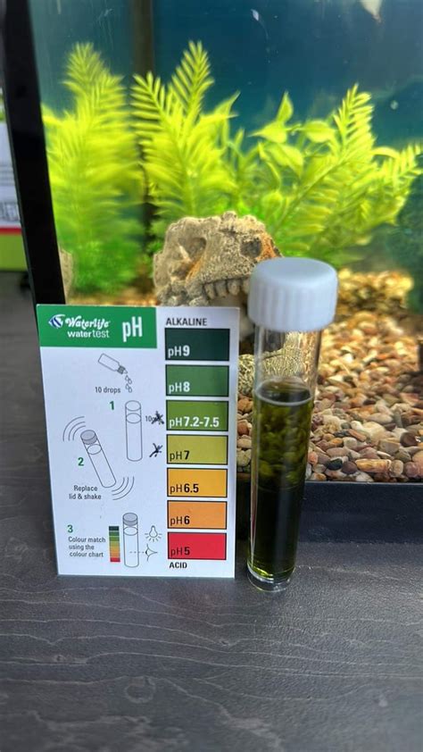 Nitrate Levels R Aquariums