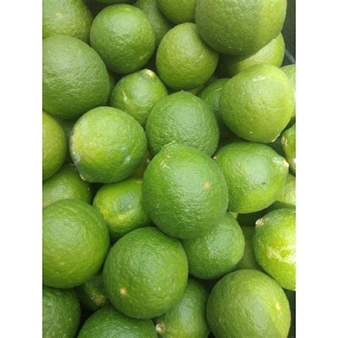 Jual Jeruk Nipis Segar Jeruk Nipis Murah Jeruk Nipis Promo 1 Kg Shopee Indonesia