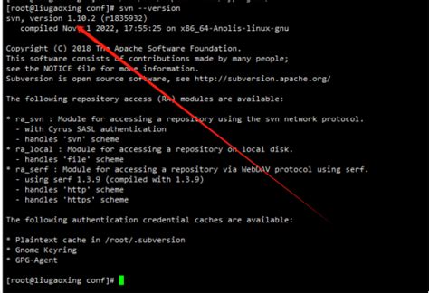 Linuxwindows Svn服务器部署全攻略：从安装到多仓库权限管理svn 怎么启动多个仓库 Csdn博客