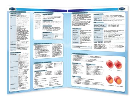 Cholesterol Guide 4 Page Laminated 85 X 11 Quick Reference Chart