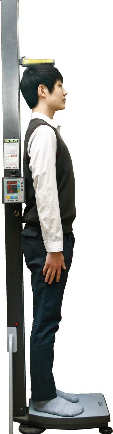 금성출판사 티칭백과