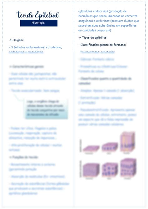 Tecido Epitelial Em Tecido Epitelial Tecido Epitelial Resumo My Xxx Hot Girl