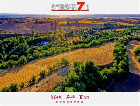 新疆影像7日（84）丨山河染秋 收获可期 天山网 新疆新闻门户