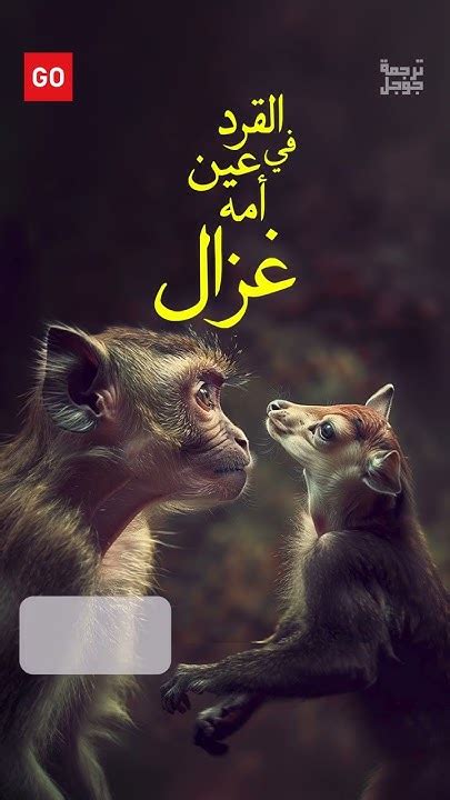 ترجمة جوجل القرد في عين أمه غزال Youtube