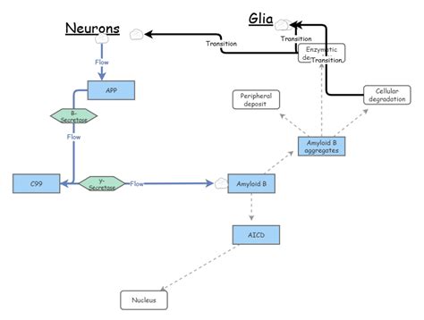 Amyloid Beta Insight Maker