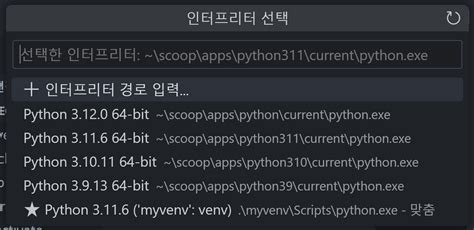 13 Python 가상환경 빠르게 따라하는 Python