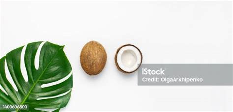 밝은 회색 배경에 열대 잎과 신선한 코코넛 플랫 레이 상단보기 복사 공간 여름 배경 자연 건강한 요리 창조적 인 건강 식품 개념 코코넛의 절반 갈색에 대한 스톡 사진 및