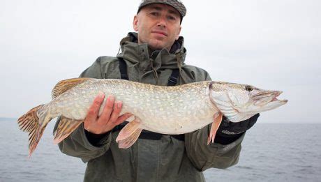 ile kosztuje karta wędkarska HotMoney