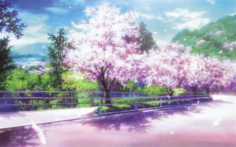 Sakura Tree Anime Wallpapers Top Free Sakura Tree Anime Backgrounds Wallpaperaccess