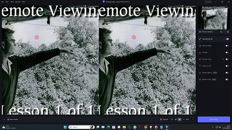 Preview Not Updating After Autopilot V204 Bugs And Issues Topaz Community