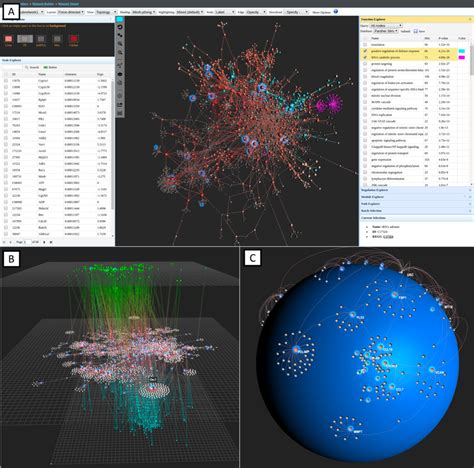 Some Screenshots Of The Network Viewer Showing The Main Features And