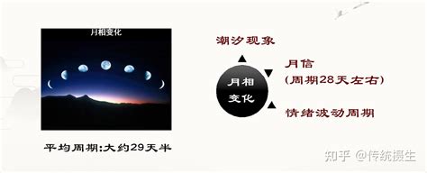 神奇的月节律、七日节律 知乎