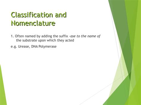 The Chemical Nature Of Enzymes Naming And Classification Of Enzymes Ppt