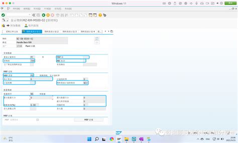 第9篇 Sap Mrp1视图所有字段详解及实战应用 合集 Sap插单逻辑 Csdn博客